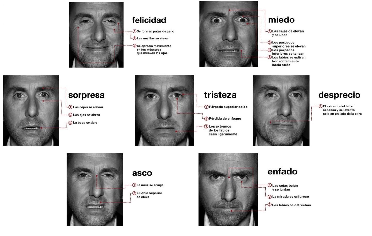 🥇 Significado de los Gestos de la Cara: 15 gestos [Conoce lo que no te ... 🥇 Significado de los Gestos de la Cara: 15 gestos [Conoce lo que no te ...